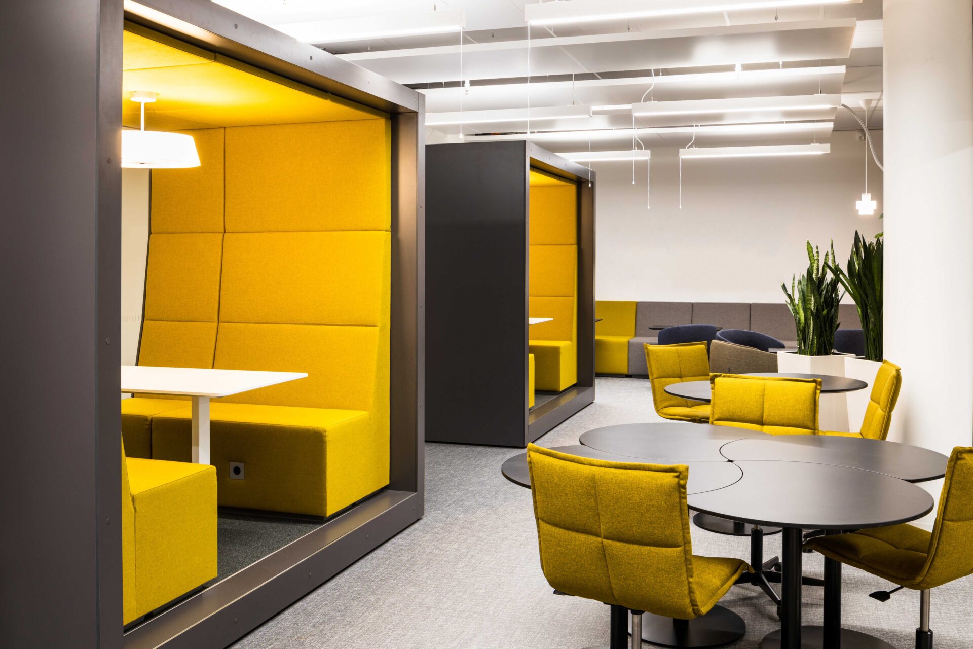 INTO Concept Celebrates 10 Years with New Product Launch in ...